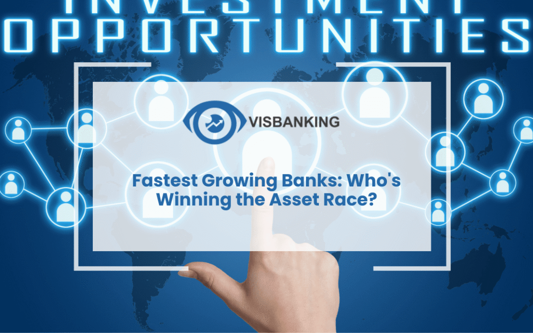 Visbanking | Bank Intelligence