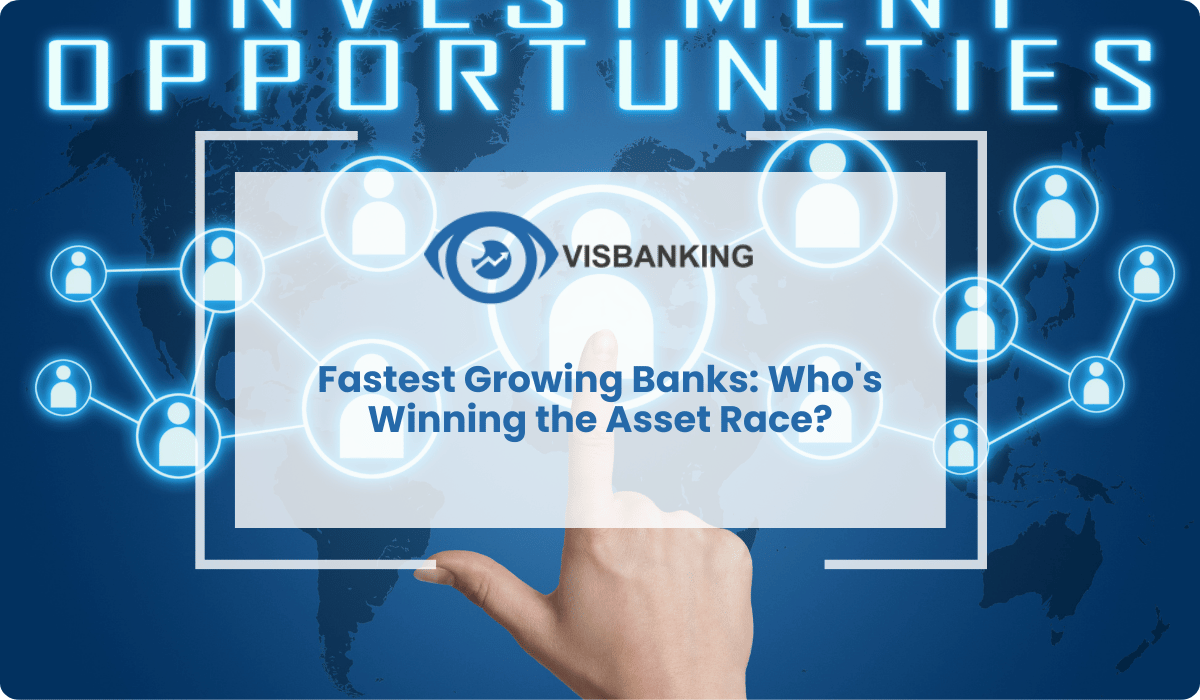 Bank Categories by Asset Size | Visbanking